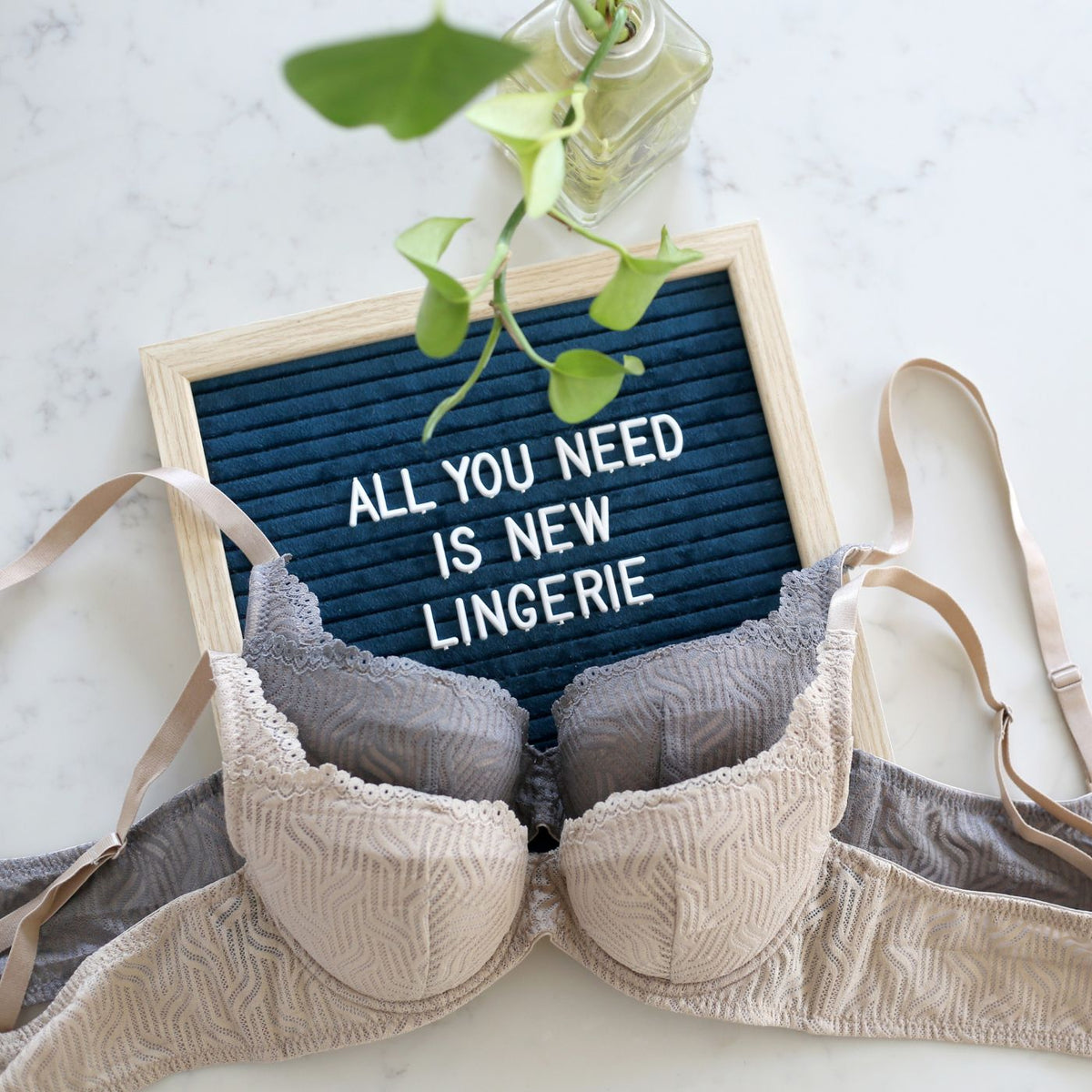 The Little Bra Company® Small Bras & Lingerie in AA, A, B, C, & D cups