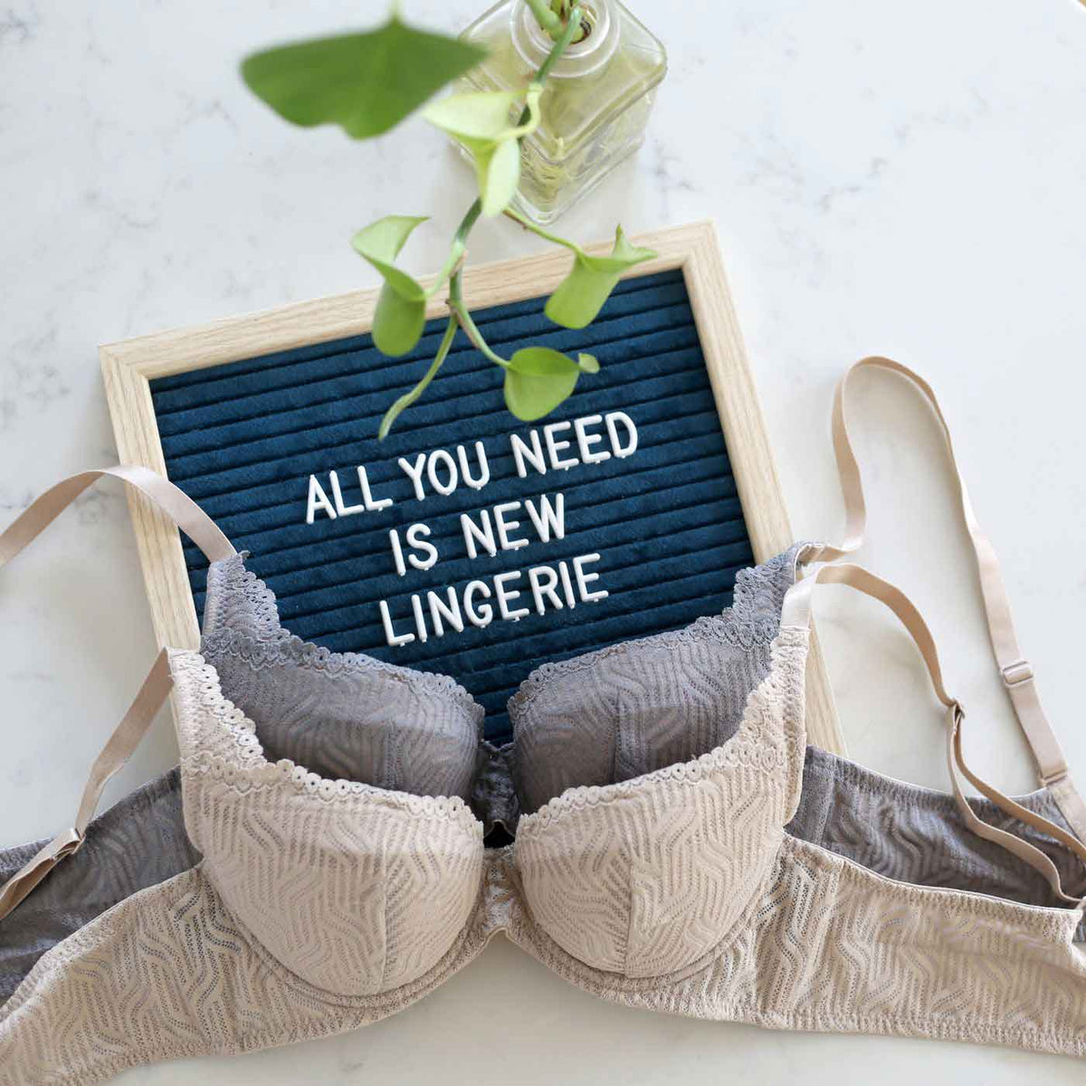 The Little Bra Company- Small Bras & Lingerie in AA, A, B, C, & D cups
